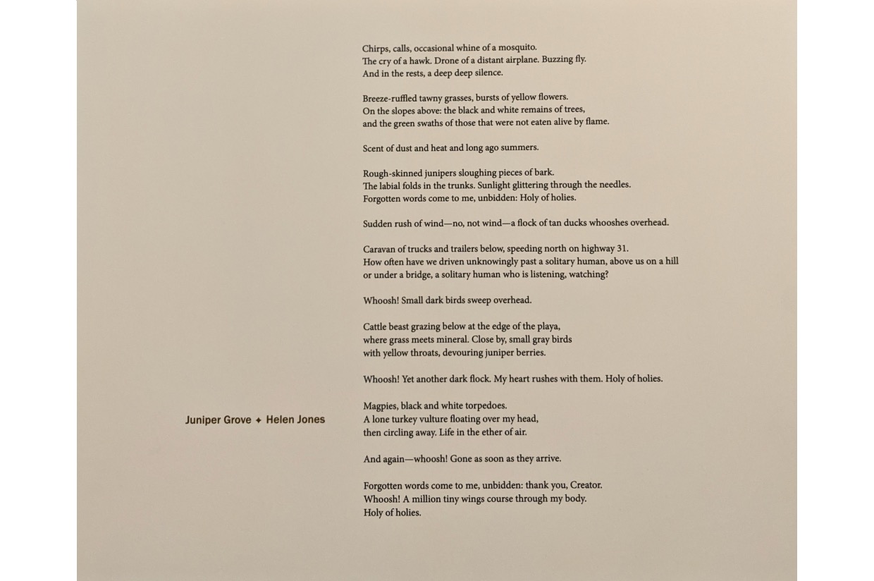 Juniper Grove by Helen Jones | PLAYA's 2022 Silent Auction | PLAYA ...