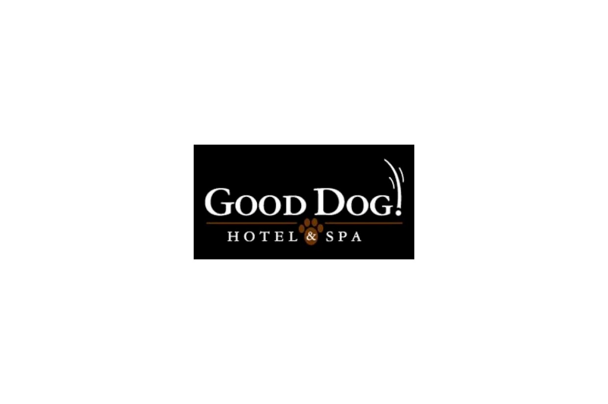 good-dog-hotel-4-night-stay-deluxe-getaway-rock-the-world-2023